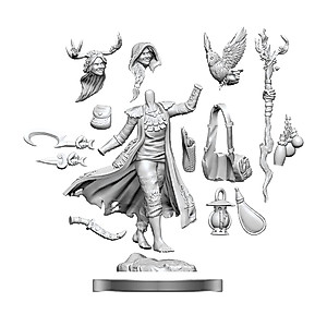 D&D Frameworks: Human Druid Female - Unpainted and Unassembled