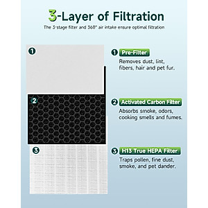 2-Pack 3-in-1 H13 True HEPA Replacement Filter Compatible with Pure Enrichment PureZone Air Purifier, 2 Filter & 2 Prefilters, Replace PEAIRFIL