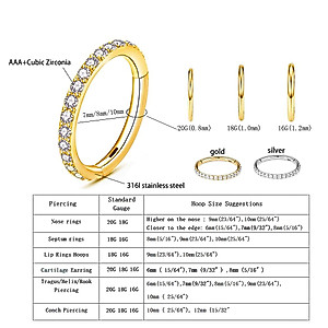 MeiziQL Nose Ring Hoops Gold Surgical Steel Double Hoop Nose Rings 18G Septum rings Cartilage Earrings Conch Helix Rook Hoop Daith Tragus Single Piercing Jewelry for Women Men(18G Gold 8mm)