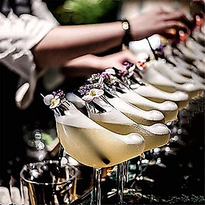 LINALL Cocktail Glass - Creative Bird Design Cocktail Glass Set of 2, 150ml Individuality Glass Goblet