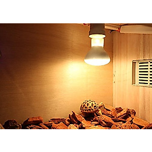 CTKcom 2-Pack 110V 75W Pet Heating Lamp,Basking Heat Spot Lamp, Reptile Heat Bulb for Turtle Aquarium Aquatic Reptile Lizard Heat Lighting E26/E27,White,2 Pcs