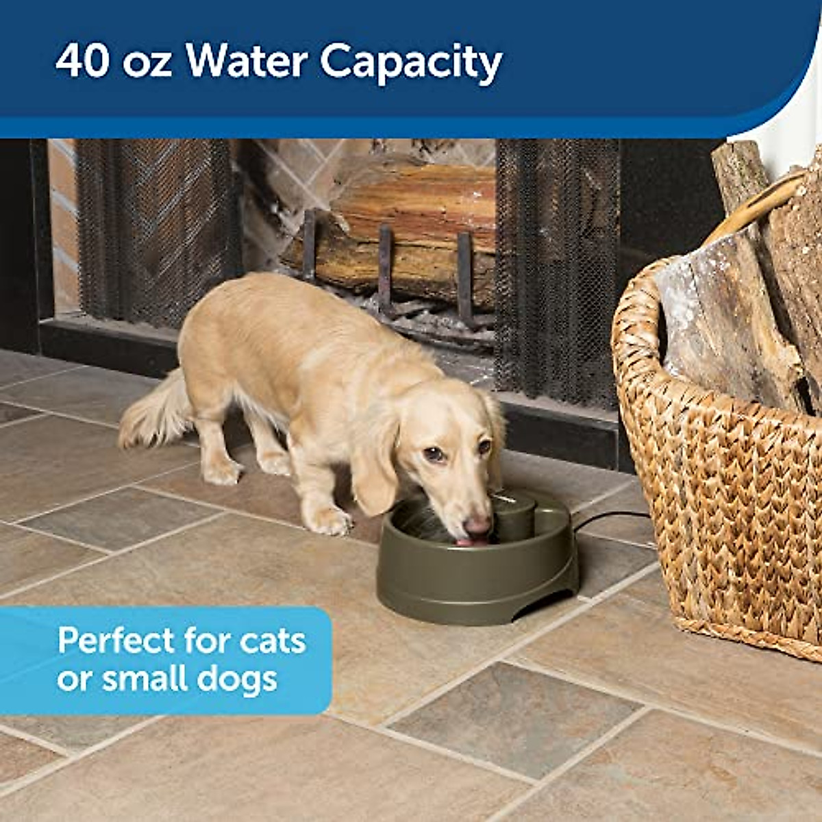 PetSafe Current Pet Water Fountain - Circulating Drinking Fountain for Cats and Dogs - Small, Forest, 40 oz Capacity Water Dispenser - Carbon Filter Included - Easy to Clean Design