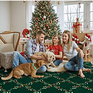 Seavish 2024 Christmas Area Rug 5x7 Area Rugs for Living Room Low Pile Soft Washable Rugs for Bedroom Aesthetic Xmas Green Diamond Floor Cover Carpet Rug for Dining Room Nursery Playroom Home Office