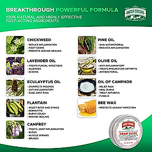 Drawing Salve Ointment 1oz, ingrown Hair Treatment, Boil & Cyst, Splinter Remover, Bug and Spider Bites, bee Sting, Mosquito bite Itch Relief, Poison Ivy, by Owell Naturals