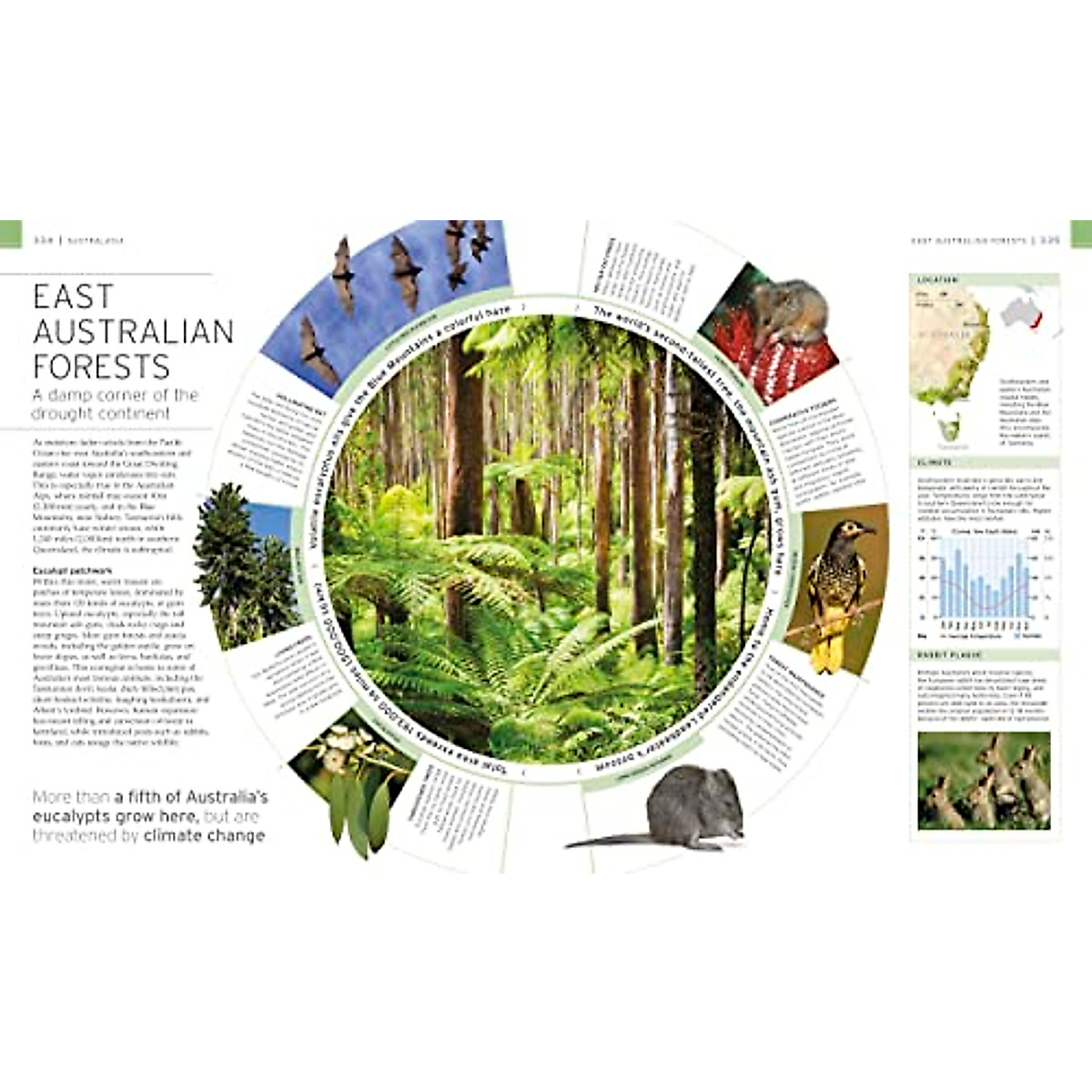 Wildlife of the World