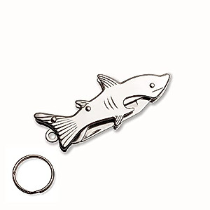 Portable Toothpicks, Stainless Steel Toothpicks, Reusable Toothpicks, Portable Tools, Keychain Tools Camping Toothpicks with Bottle Opener for Outdoor Picnic Trips (Argent)