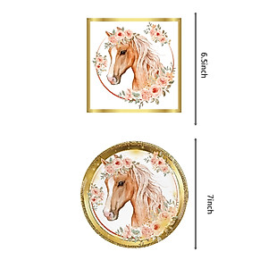 Horse Birthday Party Supplies, 20 Plates and 20 Napkins, Cowgirl Wild Horse Birthday Party Baby Shower Decorations Supplies Paper Plates Napkins for Girls Kids 20 Guests