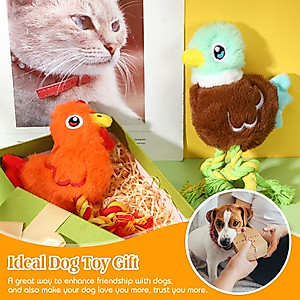 Leyndo 2 Pack Squeaky Plush Dog Toy Duck Chicken Dog Toy Teething Toys for Dog Puppies Interactive Stuffed Chew Toys Stuffed Animal Chew Toys for Small Medium Dogs Halloween Christmas Present