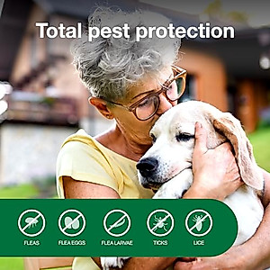 Advantage Dog Flea Treatment Spray | Kills Fleas & Ticks | Dog Flea Spray | 8 oz.