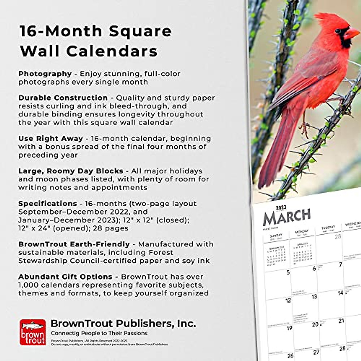 Cardinals | 2023 12 x 24 Inch Monthly Square Wall Calendar | BrownTrout | Animals Wildlife Red Birds