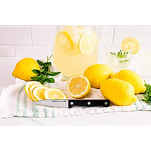 Ginsu Kiso 18-Piece Black Knife Set with Natural Block - Dishwasher Safe and Always Sharp