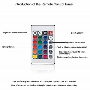 SQWHIIY Glowing LED Ball with 16 Colors Lights Color Changing Lamp Ball with Remote Beach Ball Toys Floating Pool Lights for Teens Adults Family Glow in The Dark Party Supplies (Color : 1set)