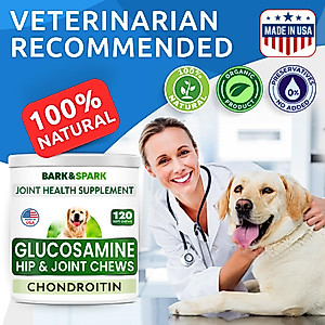 BARK&SPARK Glucosamine Chondroitin Dog Hip & Joint Supplement - Joint Pain Relief - Hip & Joint Chews - Joint Support Large Small Breed - Senior Doggie Vitamin Pill Joint Health (120 Treats - Bacon)