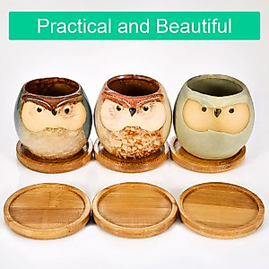 Trays 2.5 Inch Bamboo Round Plant Saucer for Most Plant Pot Flower Pot, Solution for Owl Pot with Hole (6 Pack)
