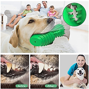 Dog Chew Toys Dog Toothbrush Stick Teeth Cleaning Brush Dental for Small Medium Large Dog, Rubber Dog Squeaky Toys for Aggressive Chewers Cactus Tough Toys Interactive for Training Cleaning Teeth