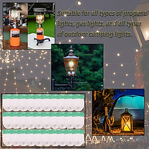 30 Pieces Propane Lanterns Mantles, Gas Lamp Mantles Gas Lantern Mantles Propane Lantern Mantles U Shape Mantles for Gas Lantern Covers Mantles for Outdoor Camping Hiking Kerosene Light Natural