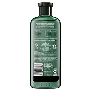 Herbal Essences Bio: Renew Potent Aloe + Mango Conditioner for Curly Hair 13.5 Fl Oz, 5.523 Fl Oz