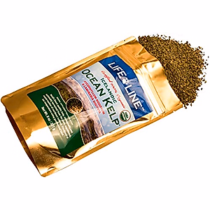 Life Line Pet Nutrition Organic Ocean Kelp Supplement for Skin & Coat, Digestion in Dogs & Cats, 8oz (20200)