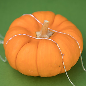 925 Sterling Silver .8MM Box Chain - Nickel Free Italian Necklace for Women Lobster Claw Clasp 18 Inch