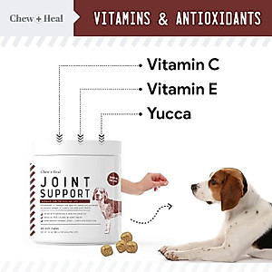 Chew + Heal Joint Support Dog Supplement, Count of 120