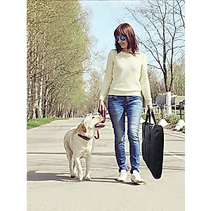 Portable Pet Playpen 45 * 45 * 22" Premium Large Size Puppy Kennel - Best for Small and Medium Size Dogs and Cats - Simple Folding Design for Easy Storage