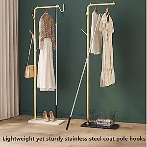 Cagaloi Clothes Hook Pole，30-74 inch Adjustable Extension bar Hooks.for Christmas Light Hook Poles, high Reach Garment Hook, Closet Hook Pole, Comfort Foam Handles (with Two Long Hooks)