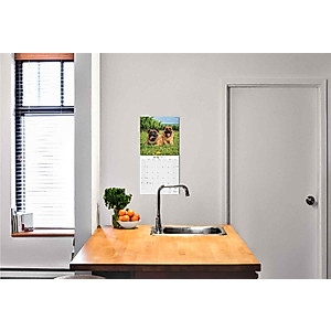 2023 2024 Bull Mastiff Calendar - Dog Breed Monthly Wall Calendar - 12 x 24 Open - Thick No-Bleed Paper - Giftable - Academic Teacher's Planner Calendar Organizing & Planning