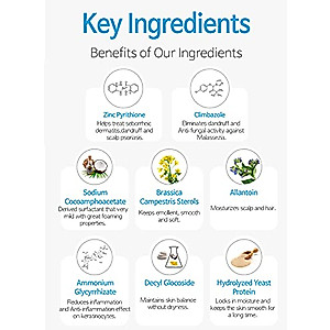 BallVic Sebo Shampoo - Itchy Scalp Trouble Care Dandruff Treatment Hair Loss Shampoo for Seborrheic Dermatitis Eczema Men and Women 2.8 Oz (230g)