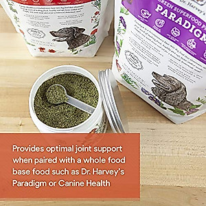 Dr. Harvey's Ortho-Flex Herbal Hip and Joint Supplement for Dogs (7 Ounces)