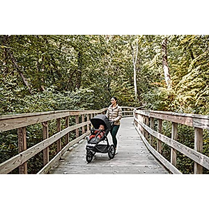 Snack Tray for Ridge