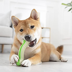 ARITHBIRD Upgraded Dog Chew Toys for Aggressive Chewers,2 Pack Bacon Flavored Dog Bones for Small Meduium Large Breed Dogs (25-60 lbs),Nylon Puppy Teething Toys