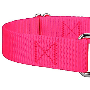 Country Brook Petz - Hot Pink Martingale Heavy Duty Nylon Dog Collar - 21 Vibrant Color Options (1 Inch Width, Medium)