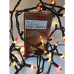 Harvest LED Fairy Lights Fall Mini Lights Amber Orange Golden Yellow Autumn Decor Fairy String Lights Indoor/Outdoor Halloween Parties Garden Patio Thanksgiving Fall Weddings 50 Lights 12 ft (1 Set)