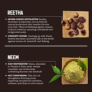 AyurVita Shampoo – Daily Nourishing Shampoo – Neem and Reetha Infused – Suitable For All Hair Types - Moisturizing, Strengthening & Lightweight Protection – Best Hair Growth Formula - 10 fl oz