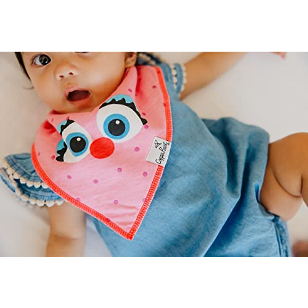 Copper Pearl Baby Bandana Drool Bibs for Drooling and Teething 4 Pack Gift Set Abby and Pals, Soft Set of Cloth Bandana Bibs for Any Baby Girl or Boy, Cute Registry Ideas for Baby Shower Gifts