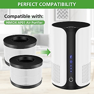 2 Pack of AP01 H13 HEPA Replacement Filter Only Compatible with Hi mox AP01(H01) Air Purifier, High-Efficiency 3-Stage Filtration for Hi mox AP01 Replacement Filter【Not Fit for Ganiza A10】