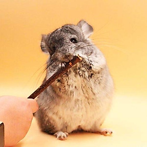 Hamster Fun Tunnel Pet Mouse Plastic Tube Toys Small Animal Foldable Exercising Training Hideout Tunnels with Cute pet Toys for Guinea Pigs,Gerbils,Rats,Mice,Ferrets and Other Small Animals (Blue)