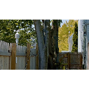 AcuRite Notos (3-in-1) Weather Station for Indoor/Outdoor Temperature, Humidity, and Wind Speed (00589M), 1.5, Full Color