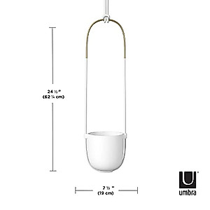 Umbra Bolo Hanging Planter