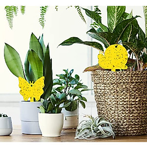Gideal 12-Pack Dual-Sided Yellow Sticky Traps for Indoor/Outdoor Use, Gnat Trap for Flying Plant Insect Such as Fungus Gnats, Whiteflies, Aphids, Fruit Fly, Leafminers, etc - Cute Shapes