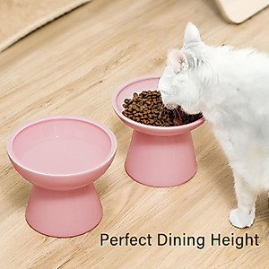 CEEFU 2 Extra Wide Elevated Cat Food Bowl, Ceramic Cat Bowls for Food and Water, Wide Shallow Cat Food Dish, Whisker Fatigue, Lead & Cadmium Free, Great Height for Cat, Pink