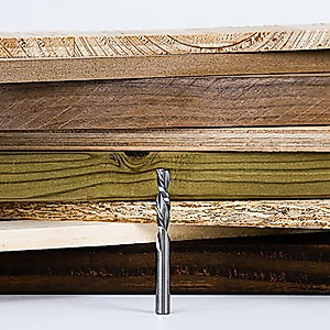 SpeTool Downcut Spiral Router Bits 1/4 inch Shank,1/4 inch Cutting Diameter Solid Carbide CNC Router Bit Woodworking End Mills for Wood Carving Slotting