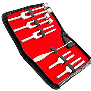 Tuning Fork Set of 5 Taylor Hammer Diagnostic Instruments CYNAMED