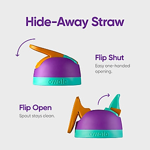 Owala Flip Insulated Stainless Steel Water Bottle with Straw for Sports and Travel, BPA-Free, 24-Ounce, Smooshed Blueberry (Pack of 1)