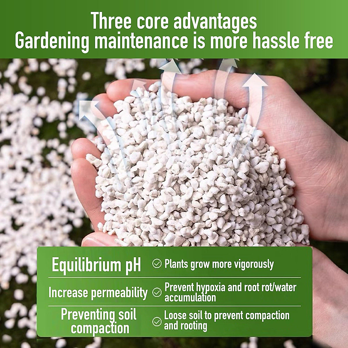 2QT Perlite for Plants Organic Perlite Horticultural Soil Amendment for Indoor & Outdoor Container Plants and Enhanced Drainage Enhanced Growth, Promote Root Growth and Soil Health