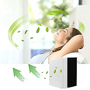 GuanQiao 1512hh Filter Compatible with Coway AP1512HH AP-1512HH, 3304899 AP1512HH AP1512, Include 2 HEPA Filters 8 Pre Filters