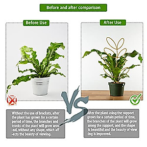 2Pcs Indoor Pot Plant Climbing Garden Trellis Gold Anti-Rust Metal Love Heart and Leaf Shaped Vines Climbing Support Bracket is a Creative Tool Gift for Gardening Lovers