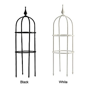 Plant Climbing Frame Natural U-Hoops Plants Stand Adjustable 20 X 60cm Stainless Steel White Black Garden Rose Trellis