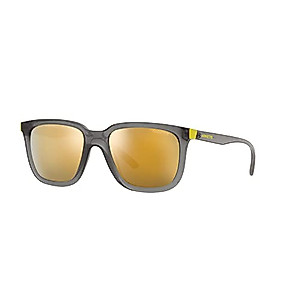 Arnette Men's AN4306 Plaka Square Sunglasses, Transparent Grey/Mirrored Yellow Gold, 54 mm