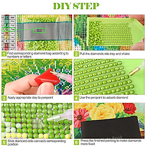 Lxmsja Diamond Art Painting Kit, Diamond Art Painting Flowers, Diamond Art Painting Kits for Adults, Diamond Art Kit for Adult, Diamond Art Kit, Diamond Art Painting Kit for Beginner (11.8X15.7inch)